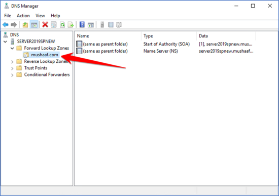How To add DNS Forward Lookup Zone in Windows Server 2016/2019 – Mushaaf Blog